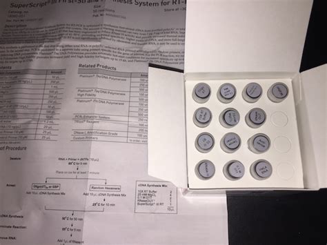 Rt Pcr Using Invitrogens Superscript Iii Ssiii Synthesis System Kit Reagent