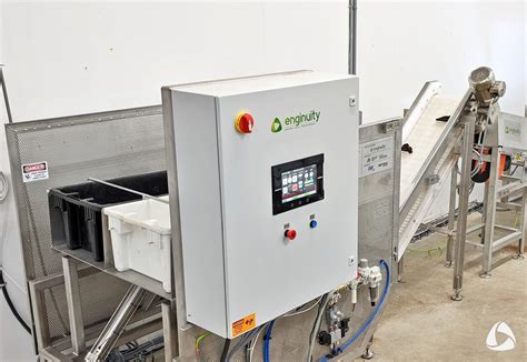 Automating Sea Cucumber Grading With Industry 4 0 Enginuity Partners Llc