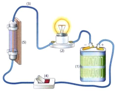 El Circuito Eléctrico Profe Tolocka