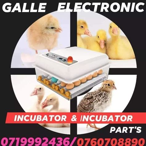 සියලුම සතුන් වර්ග සහ සත්ව උපකරණ විකිණීම