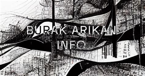 Information Burak Arikan