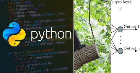 List Datascience Curated By Haroon Arrasheed Medium