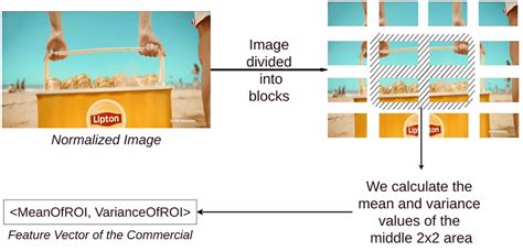 Extraction Of The Proposed Fingerprint Download Scientific Diagram