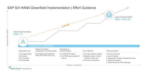 Sap S 4 Hana Greenfield Implementation Effort Guidance Market Insights™ Everest Group