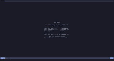 Statusline Is Not At The Bottom Of The Terminal Rneovim