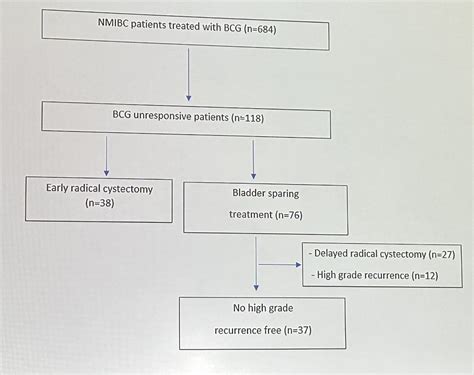 Aua 2023 Bladder Sparing Treatment In Patients With Bcg Unresponsive Non Muscle Invasive