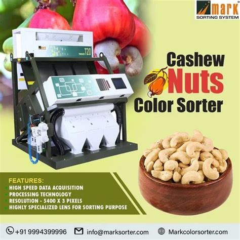 Pulses Color Sorting Machine Pulses Sorting Machine At ₹ 1500000