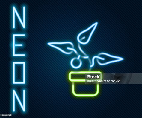 검은 배경에 고립 된 냄비 아이콘에 빛나는 네온 라인 식물 냄비에서 자라는 식물 화분에 심은 식물 표지판 다채로운 개요 개념 벡터 0명에 대한 스톡 벡터 아트 및 기타