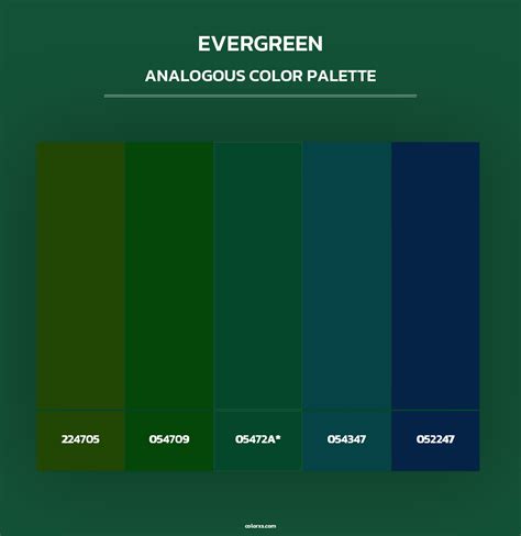 Evergreen Color Palettes