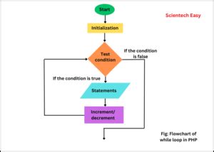 Do While Loop In PHP Scientech Easy