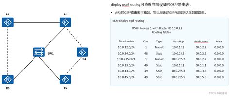 Ospf的基础知识介绍ospf Mtu Enable Csdn博客