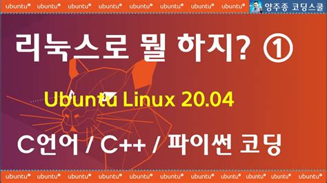 우분투 리눅스 사용법 C언어 C 파이썬 코딩 Ubuntu Linux Server 2004 Youtube