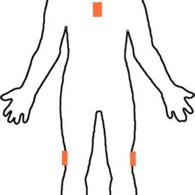 Top Views Of The Global G Local Navigation L And Sensor S Download Scientific Diagram