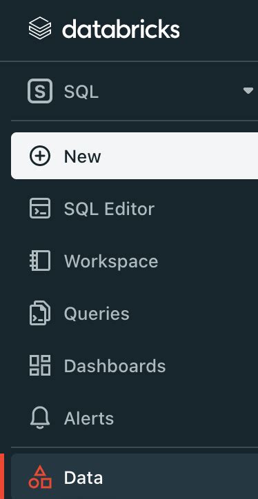 Databricks Zing Data Documentation