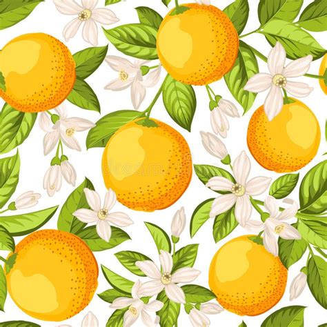 Seamless Floral Pattern With Oranges Vector Illustration Stock Vector Illustration Of