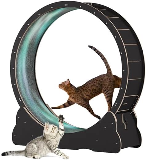 Homegroove Cat Treadmill Cat Exercise Wheel For Indoor Cat 45 Large