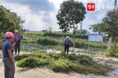 南通通州东社镇：水清岸绿绘“新颜”，网格助力人居环境大提升河道进行行动
