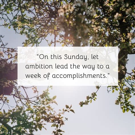 130 Sunday Quotes To Enjoy And Ignite Inspiration