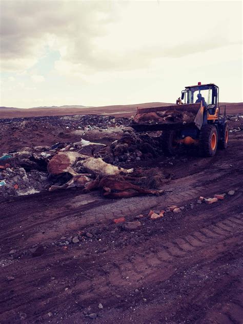 Мөнххаан сумд 2023 оны 5 дугаар сарын 19 20 өдрүүдэд болсон байгалийн гамшигт үзэгдлийн улмаас