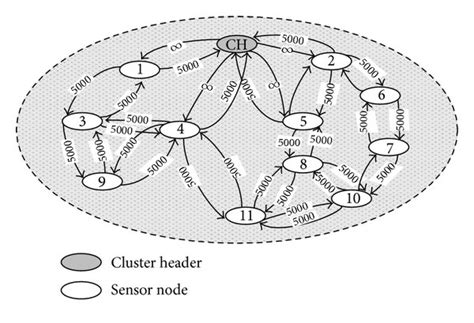 The Initial Weighted Directed Graph Of One Cluster Download