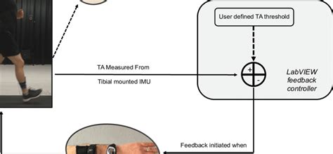 block diagram of real time haptic feedback system download