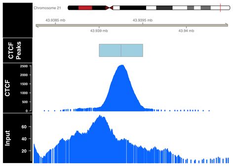 97 Peak Calling Computational Genomics With R