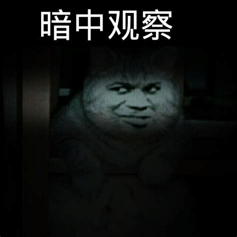 老八暗中观察表情包 伤感说说吧