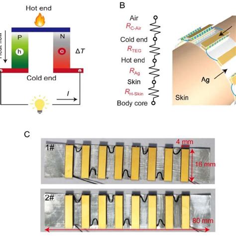 Flexible Design Of Wearable Thermoelectric Generator A Schematic Download Scientific Diagram