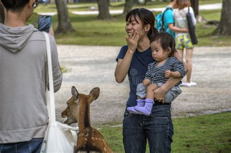 Madre E Hijo Japoneses Mirando Al Cerveza En Nara Jap N Fotograf A Editorial Imagen De