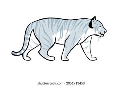South China Tiger Vector Drawing On Stock Vector Royalty Free