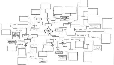Solved Connective Tissue Concept Map Solved Connective Tissue Concept Map