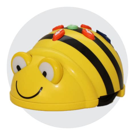 Bee Bot Newton Store