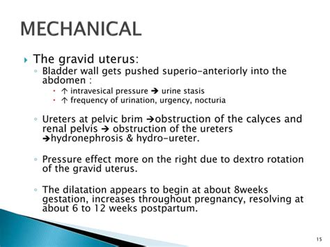 Management Of Uti In Pregnancy Pptx