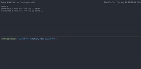 Librephotos Arbitrary File Upload Path Traversal Poc Zeropath Blog Zeropath
