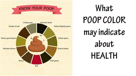 5 Things Your Bowels Are Telling You About Your Health Bristol Stool