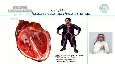 جهاز الدوران والمناعة جهاز الدوران 4 العلوم ثاني متوسط Youtube