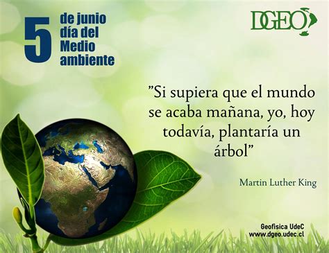Efemérides 5 De Junio Día Mundial Del Medio Ambiente