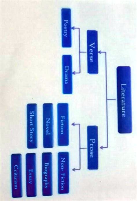 solved read the following tree diagram and convert it into a paragraph