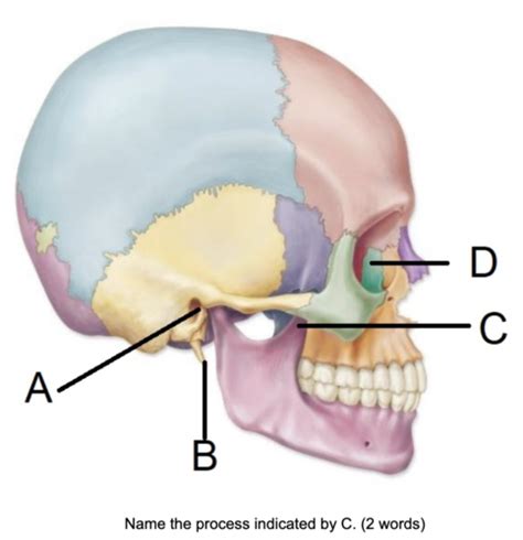 Chapter Lab Quiz Flashcards Quizlet
