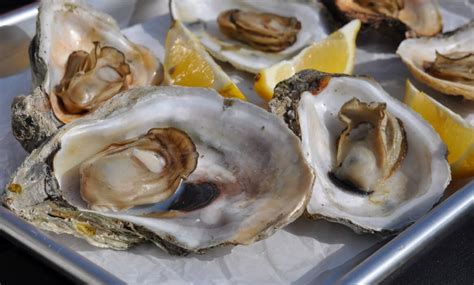 Austern Rockefeller Rezept Für überbackene Rockefeller Oysters