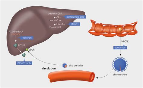 Lipid Lowering Therapies Lipid Tools