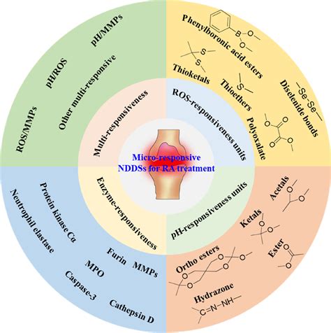 Wires Nanomedicine And Nanobiotechnology Vol 16 No 6