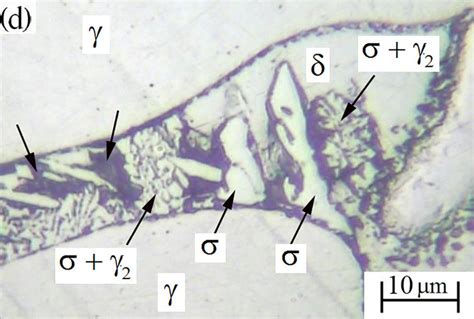 Microstructure Obtained After Portable Dl Epr Test Performed At Room Download Scientific