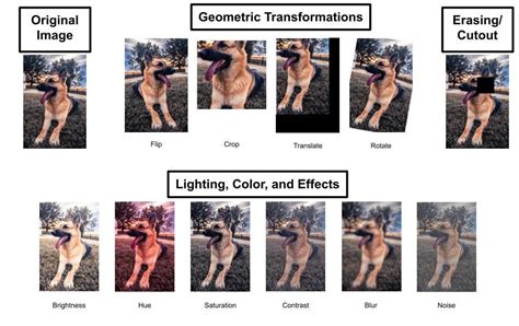 The Ultimate Guide To Data Augmentation In Computer Vision Encord