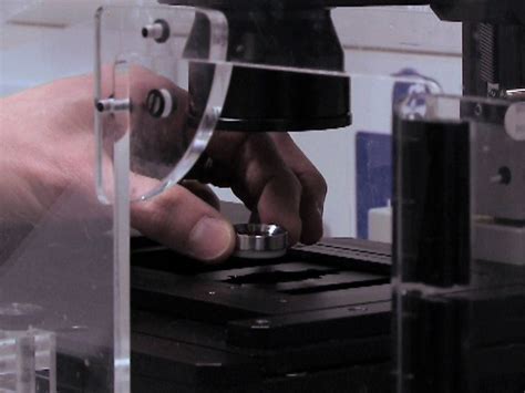 Video Live Cell Imaging Of Early Autophagy Events Omegasomes And Beyond