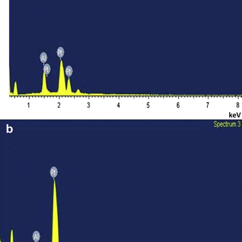 Standard Calibration Curve For Quantitation Of Hydrogen Peroxide In The Download Scientific