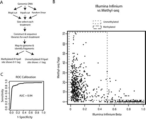 The Methyl Seq Method And Validation A Workflow For The Methyl Seq