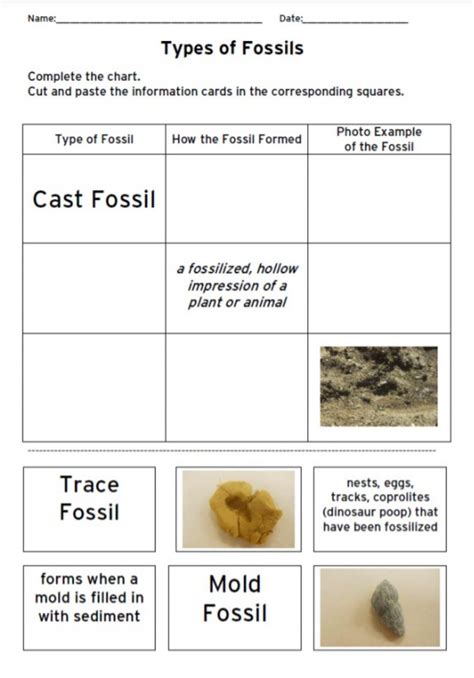 Fossil Posters Types Of Fossils About Fossils Classroom Fossil Posters
