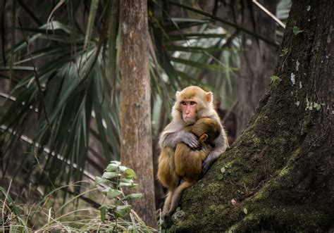 Shelter From The Storm Rob Hanson Photography Blog