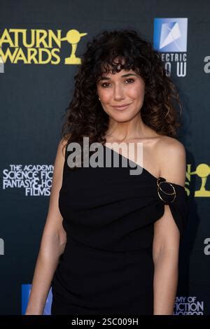 Los Angeles Ca Feb 3 Emmanuelle Chriqui At The Borrowed Spotlight